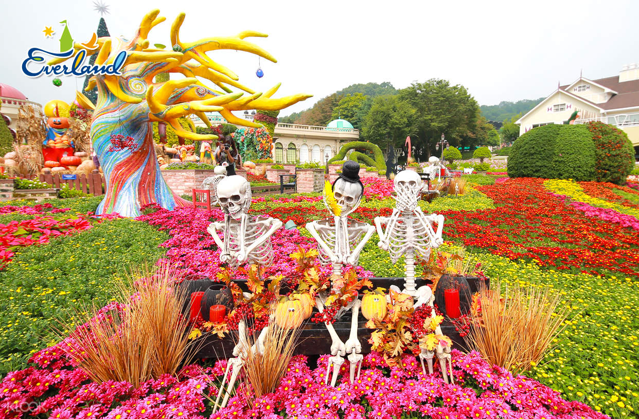 Everland Korea Theme Park Tickets Online - 1 Day Pass (QR Code Entry)